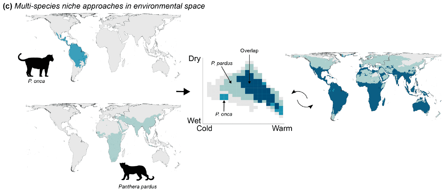 Biodiversity Patterns Redefined in Environmental Space - Elisa Barreto
